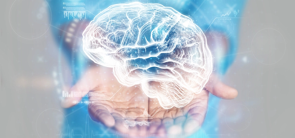 BEYİN SİSİ DEYİP GEÇMEYİN | Dr. Hüseyin Nazlikul, M.D. PhD.